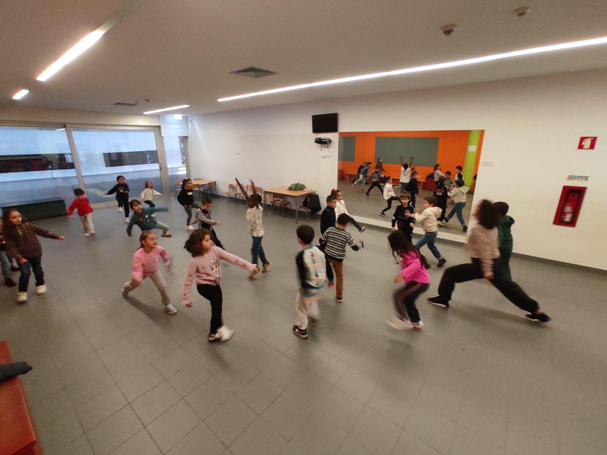 Agrupamento de Escolas António Feijó
